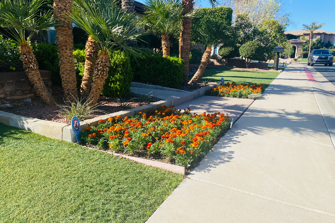 Our Work Gallery | RedStone Landscape Maintenance